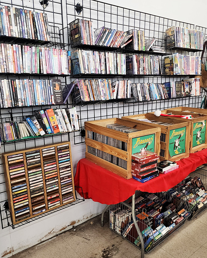 Remember when you actually owned physical media? This wall remembers, and it's not judging your Spotify addiction.