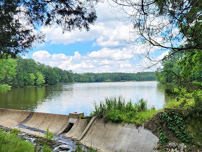 Engineering meets nature at the park's dam, where concrete curves hold back the lake waters while offering another stunning perspective of this tranquil landscape.