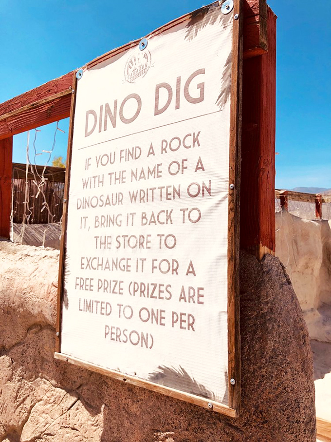 Modern-day paleontology meets treasure hunting at the Dino Dig, where finding a rock with a dinosaur name feels like striking prehistoric gold.