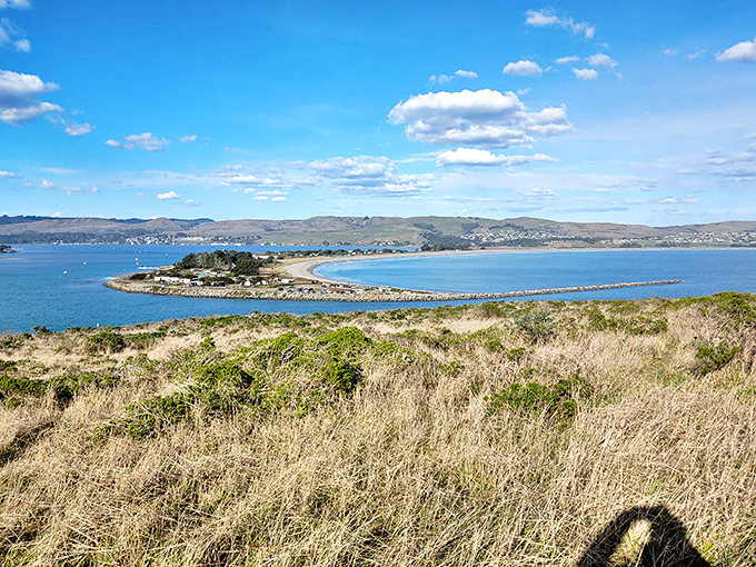 Where land meets water meets sky &ndash; Bodega Bay's natural breakwater creates a sanctuary for both boats and beachgoers seeking refuge from the open ocean.