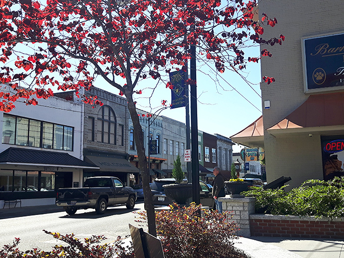 Main Street stretches out like an invitation to slow down and actually notice things for once.