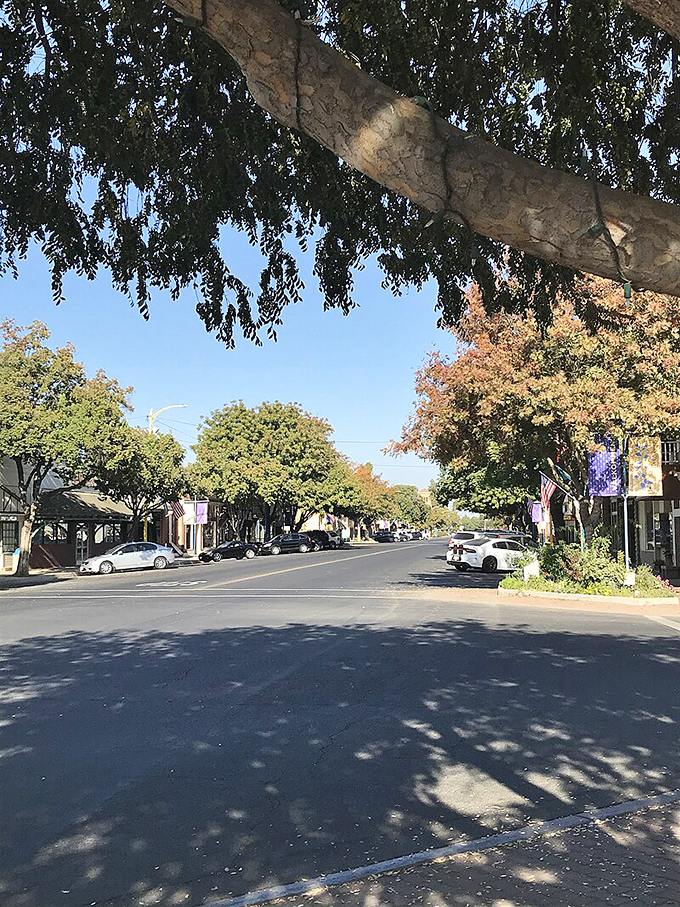 Draper Street offers shade trees, ample parking, and zero traffic jams. The kind of Main Street where people still window shop.