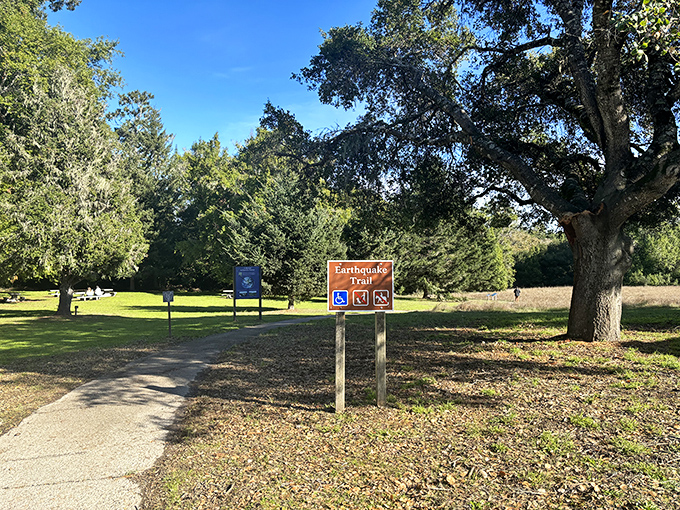 Nature's fault line becomes a teaching moment. The Earthquake Trail offers a humbling reminder that Mother Nature always has the final say in California.