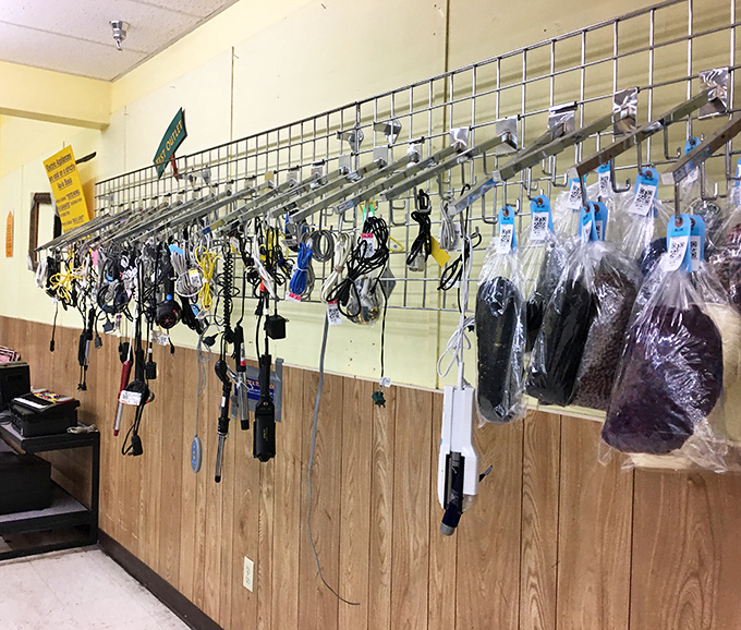 The accessories wall &ndash; where yesterday's sunglasses and tomorrow's vintage statement pieces hang in patient anticipation.