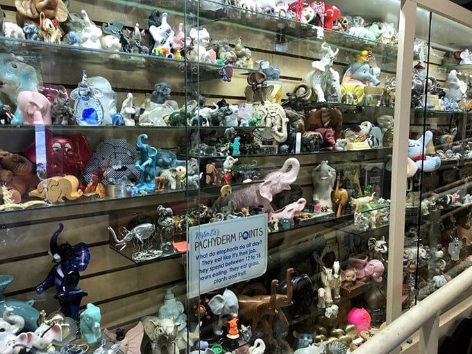 Shelf after shelf of elephant figurines create a mesmerizing display. Marie Kondo would have an existential crisis here.