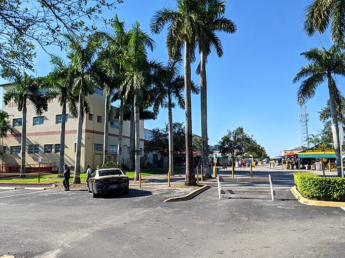 The entrance to bargain paradise, where your wallet breathes easier and your shopping bags prepare for the workout of their lives.