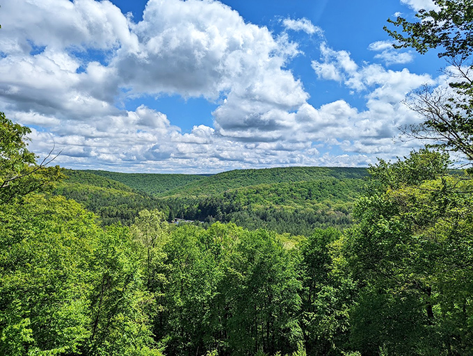 Rolling green hills stretch to the horizon like nature's version of an endless buffet. The view alone is worth the trip.