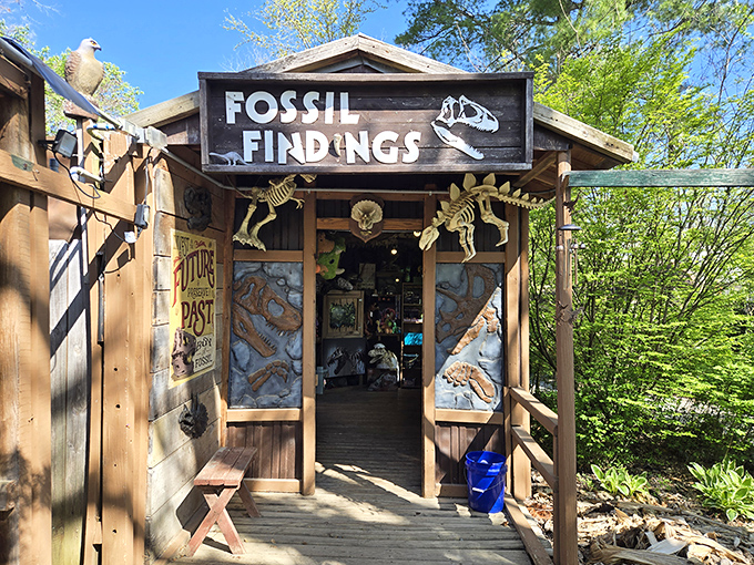 "Fossil Findings" gift shop offers dinosaur treasures and educational souvenirs in a rustic cabin that looks plucked from a paleontologist's field camp.