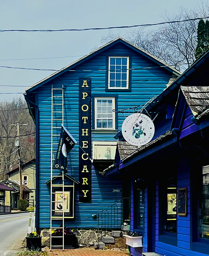 This brilliant blue apothecary doesn't sell snake oil, but it might just cure your big-city stress with a healthy dose of small-town charm.