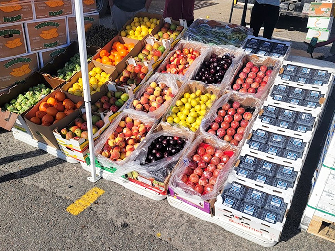 Nature's candy store display puts supermarkets to shame. These fruits didn't spend their formative weeks in cold storage&mdash;they ripened under the Florida sun as intended.