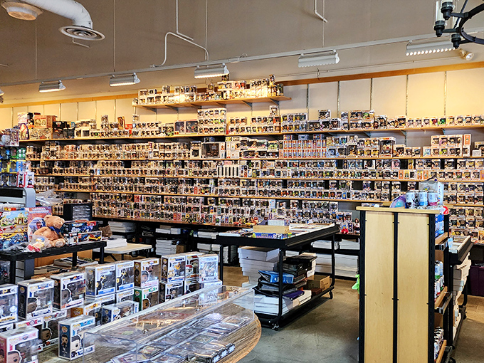 When your toy collection rivals a museum's inventory, you know you've found collectible paradise in unexpected places.
