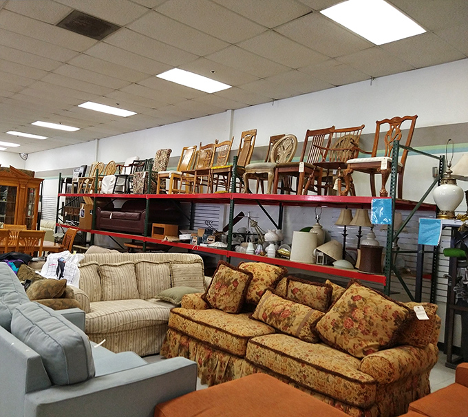 The furniture section: where sofas with stories sit patiently waiting for their second act. That floral couch has seen things, my friends.