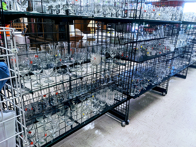 Crystal kingdom! More wine glasses than an Italian family reunion, each waiting to toast your health at a fraction of retail prices.