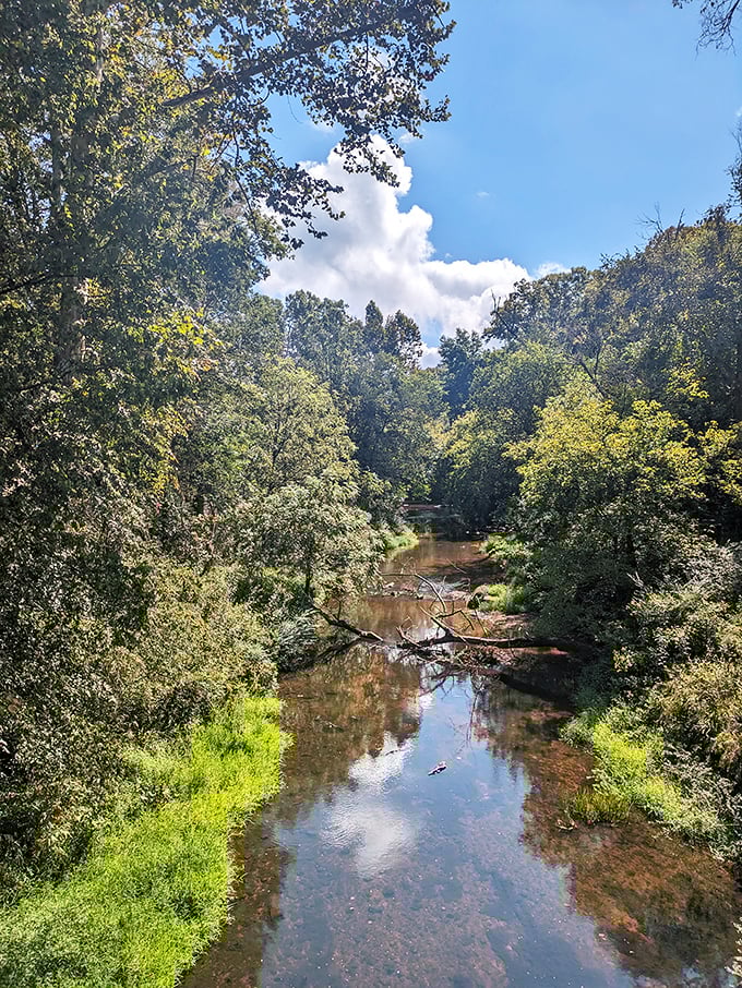 The Eno River meanders through Hillsborough like nature's own lazy Sunday afternoon stroll.