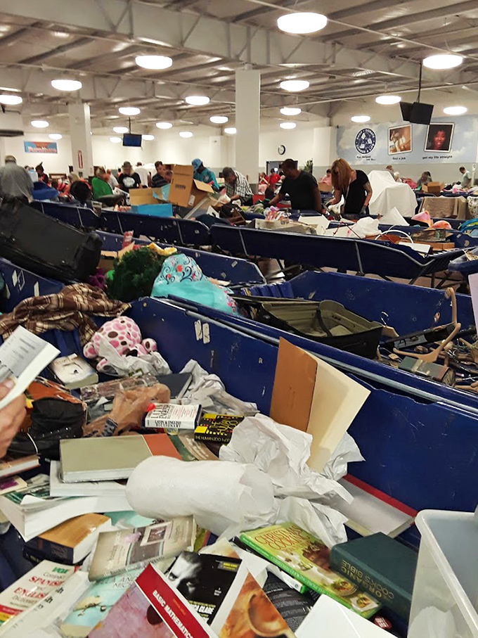 Blue bins of possibility stretch endlessly, each one a potential goldmine of forgotten treasures.