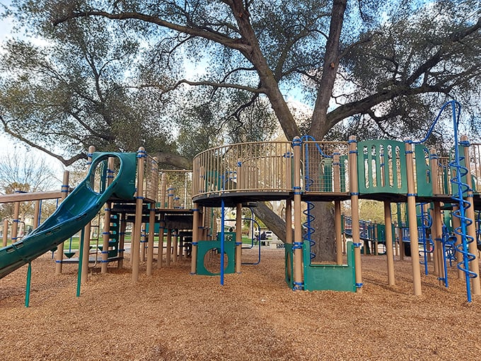 Graceada Park's playground isn't just for the grandkids&mdash;it's a reminder that Modesto offers plenty of green spaces where fixed incomes and quality of life peacefully coexist.