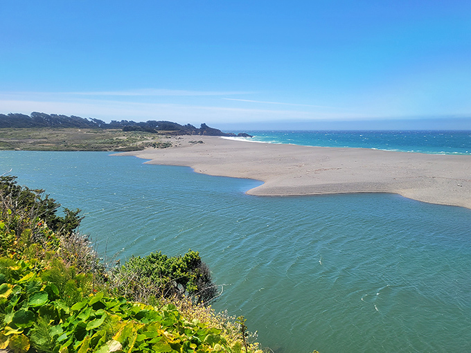 Where river meets ocean &ndash; the Gualala River estuary creates a constantly changing landscape that's worth the drive alone.