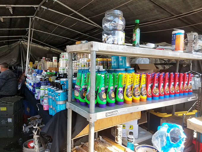 A rainbow arsenal of hair products stands at attention&mdash;enough styling firepower to transform even my reluctant follicles into something magnificent.