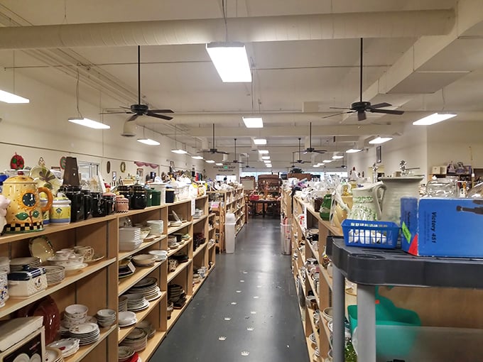 The hallway of possibilities stretches before you like the yellow brick road of thrifting. Each shelf holds potential discoveries that might just change your life.