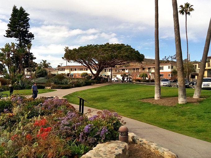 Heisler Park's manicured gardens and ocean views prove that Mother Nature and human landscapers can occasionally agree on something spectacular.