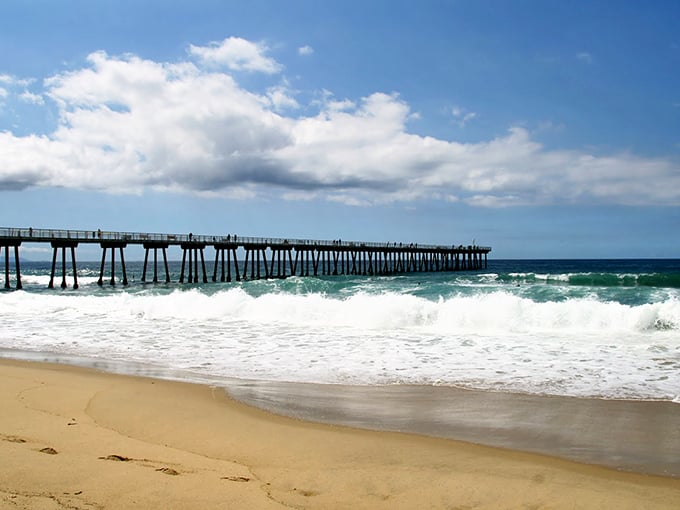 That iconic pier stretches into the Pacific like a wooden highway to happiness, fishing poles optional but recommended.
