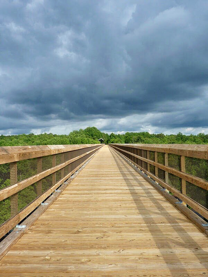High Bridge Trail stretches toward the horizon like nature's runway, offering views that make even the most dedicated couch potatoes consider taking up hiking.