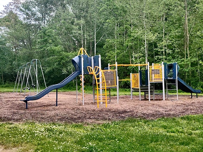 Childhood joy doesn't expire with your 401(k)&mdash;Piqua's parks offer playgrounds where grandkids burn energy while you save yours.