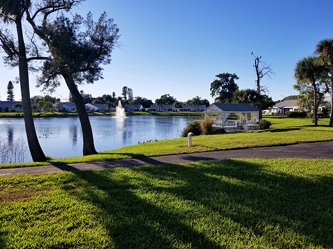 Peaceful lakeside living in Cortez, where every morning coffee comes with a side of serene water views and visiting herons.