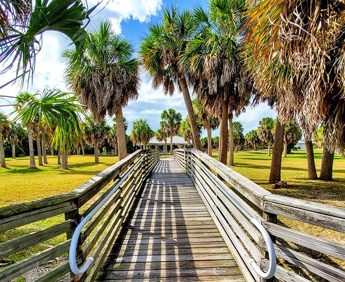 This wooden boardwalk through Caladesi's palm forest feels like stepping into old Florida&mdash;before mouse ears and outlet malls took over.