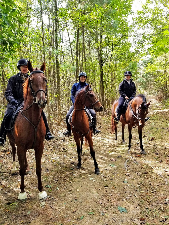 Horseback riding through Blackbird State Forest offers the perfect activity between meals. Burning calories never looked so majestic.
