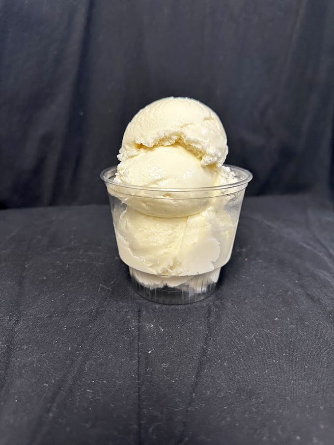 Vanilla ice cream so pristine it belongs in a museum, except museums don't let you devour the exhibits with a plastic spoon.