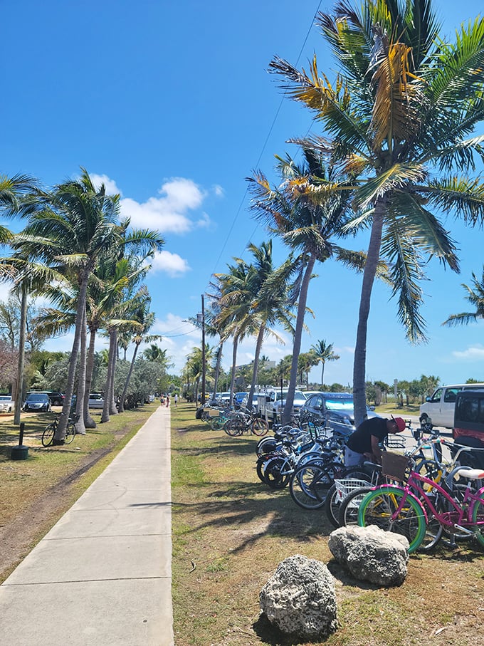 Palm-lined pathways and colorful bikes &ndash; Key West's preferred transportation method for those who want to earn their key lime pie.