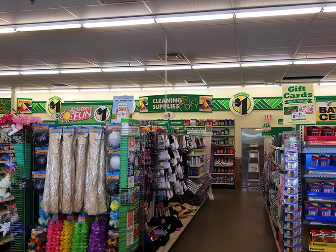 Aisles stretch like pathways to different dimensions of discount, each one meticulously organized for maximum treasure-hunting efficiency.