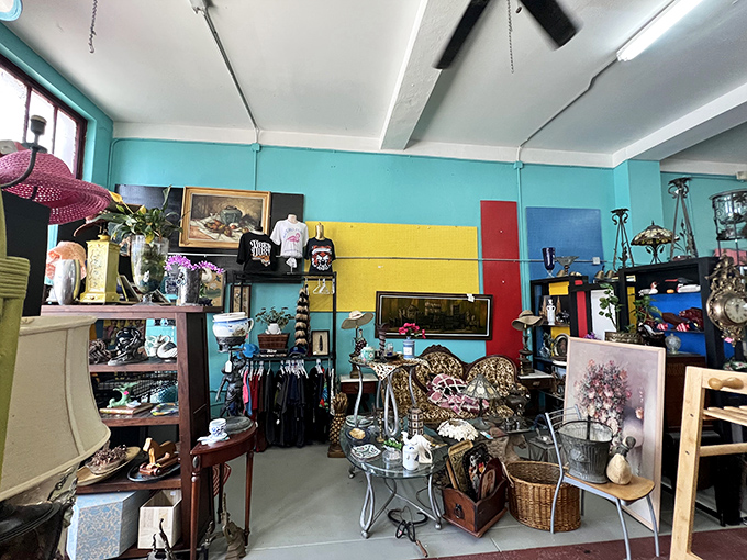 Turquoise walls and rainbow displays create the perfect backdrop for treasure hunting. This isn't organization&mdash;it's a beautiful chaos that somehow makes perfect sense.