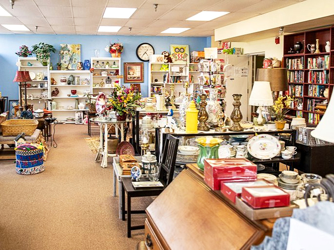 Every aisle tells a story at The Treasure Hound, where yesterday's treasures await their second act. Marie Kondo would have a field day here!