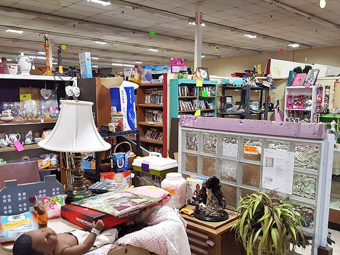 Inside awaits organized chaos&mdash;a collector's paradise where that perfect lamp, book, or glass divider might just be hiding in plain sight.