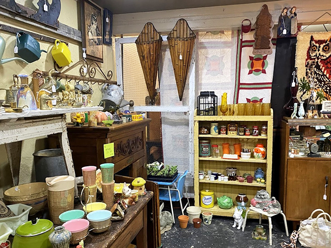 Every shelf tells a story here, from vintage kitchenware to decorative snowshoes that haven't seen snow in decades.