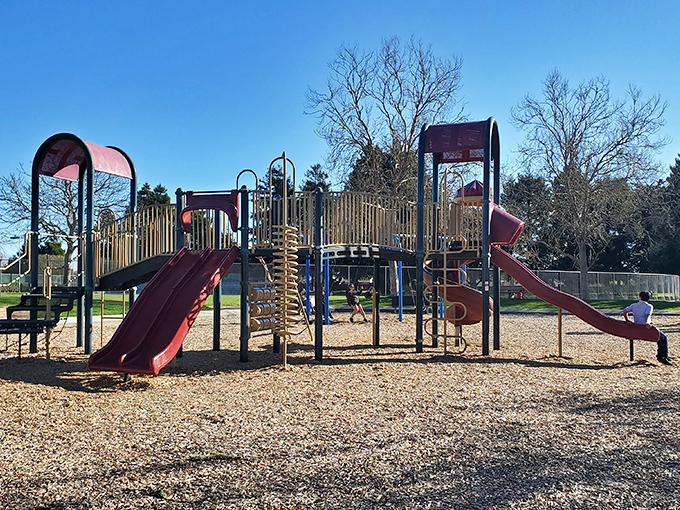 Where local kids burn off energy and parents secretly wish they could still fit down those slides.