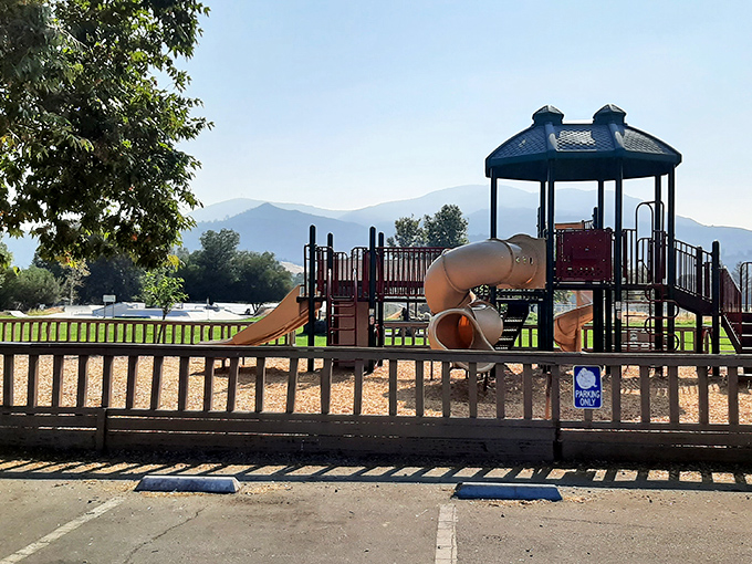 Childhood memories come alive at this playground where kids can still be kids, with Clear Lake's mountains providing a backdrop no video game could ever match.