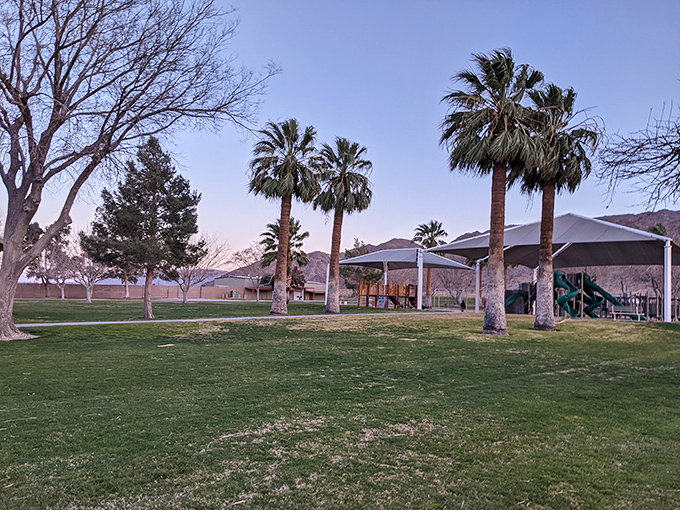 Knott Sky Park proves that palm trees and playgrounds create the perfect recipe for multi-generational desert fun.
