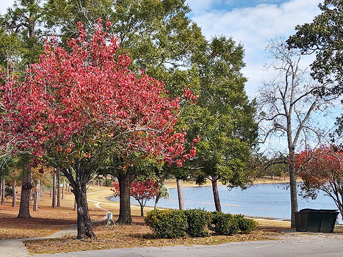 Lake DeFuniak's mirror-like surface reflects more than just clouds &ndash; it captures the soul of old Florida.