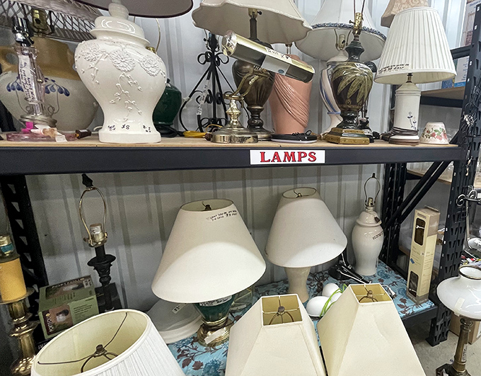 The lamp section glows with possibility. From mid-century modern to grandma-chic, your perfect reading companion is hiding somewhere in this luminous forest.