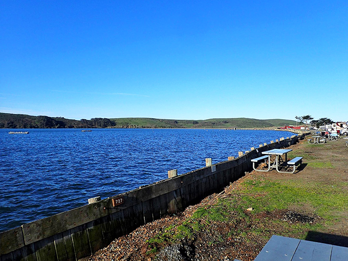 Lawson's Landing: where boats launch dreams and fishermen swap tales that grow with each telling.