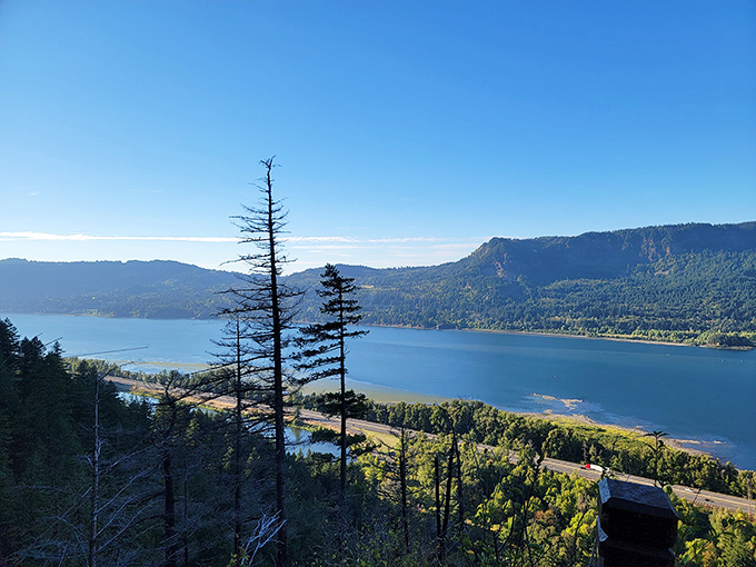 The payoff for your hiking efforts! This stunning Columbia River Gorge vista from Lemmons Viewpoint makes every uphill step worthwhile.