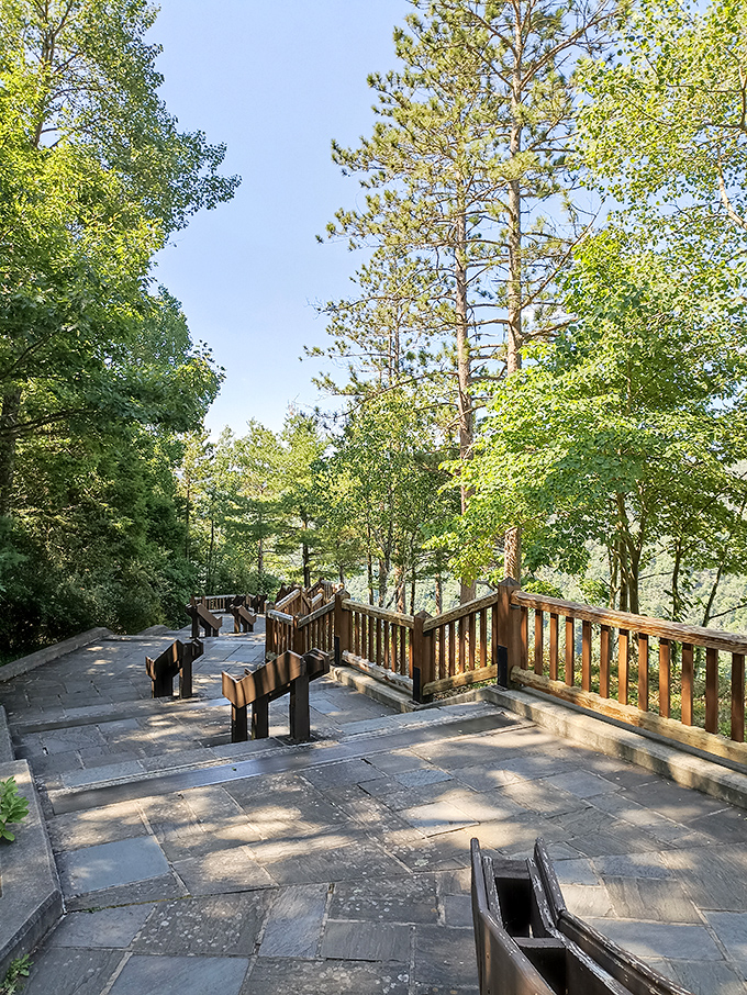 Nature's staircase at Leonard Harrison State Park invites exploration. The Pennsylvania Grand Canyon awaits just beyond those wooden railings.