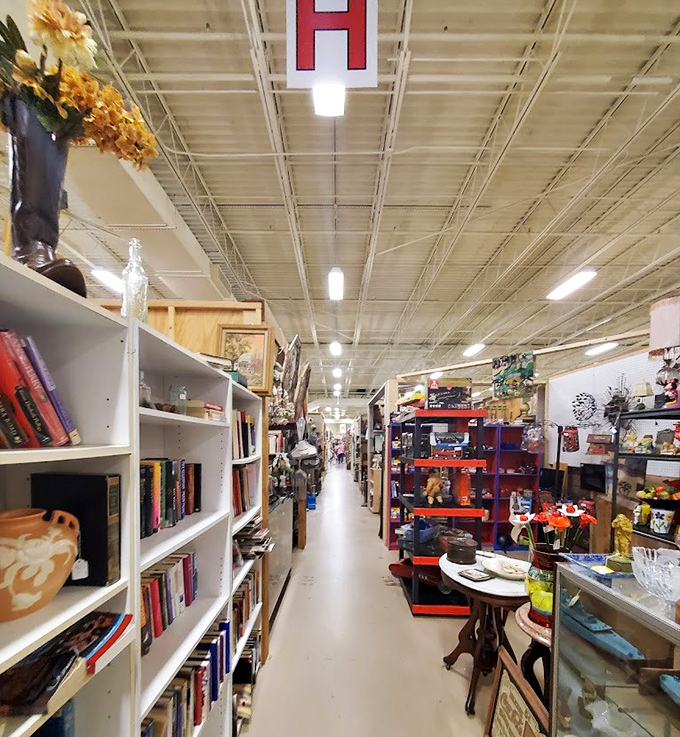 Endless aisles stretch before you like time tunnels, each shelf a different decade waiting to be rediscovered and taken home.