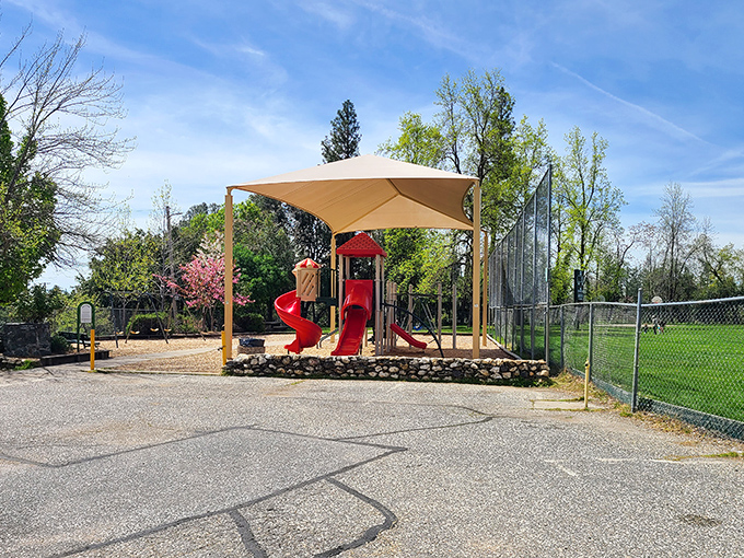 This playground proves retirement doesn't mean giving up fun—though you might want to let the grandkids have first dibs on the slide.