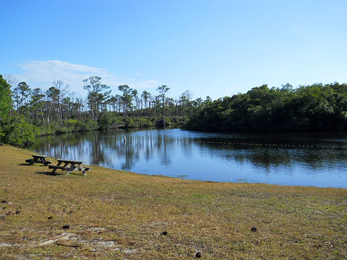 From Hobe Mountain's observation deck, Florida reveals itself as nature intended – a vast tapestry of green unmarred by high-rises.