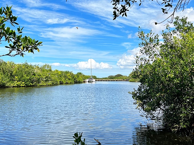 Nature's free entertainment system. Mangrove-lined waterways provide peaceful kayaking opportunities and front-row seats to Florida's impressive wildlife show.