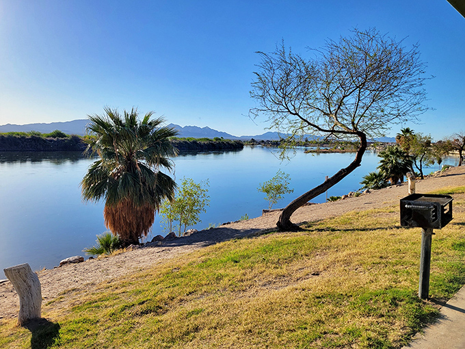 The Colorado River glides past Blythe like liquid serenity, offering waterfront views that would cost millions elsewhere but here come with reasonable rent.
